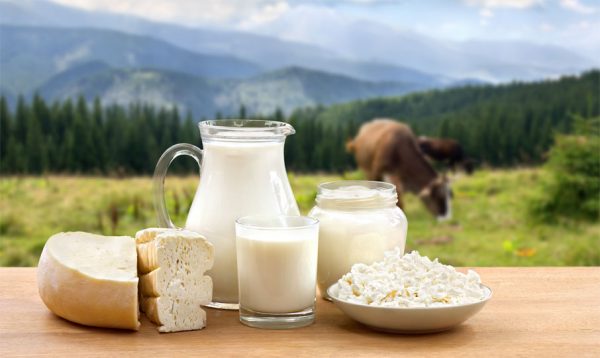 Comlact – Autentic de la munte